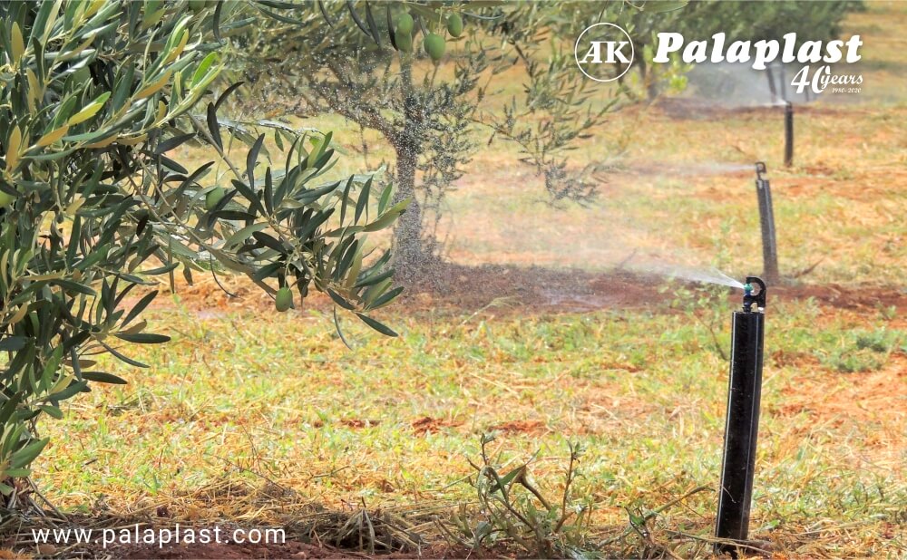 test - Palaplast